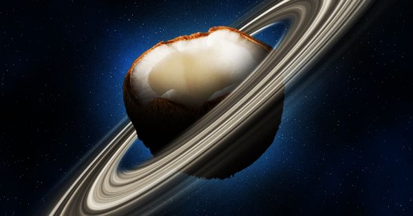 Space Coconut on SubscribeStar.com